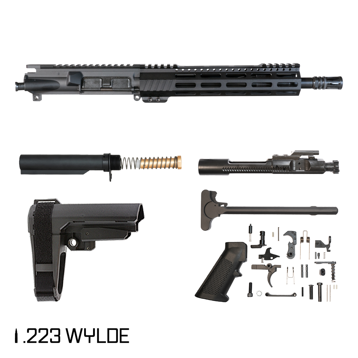 Davidson Defense Aegis Lightweight w/SBA3 Brace 11.5-inch Carbine-Gas 1 ...